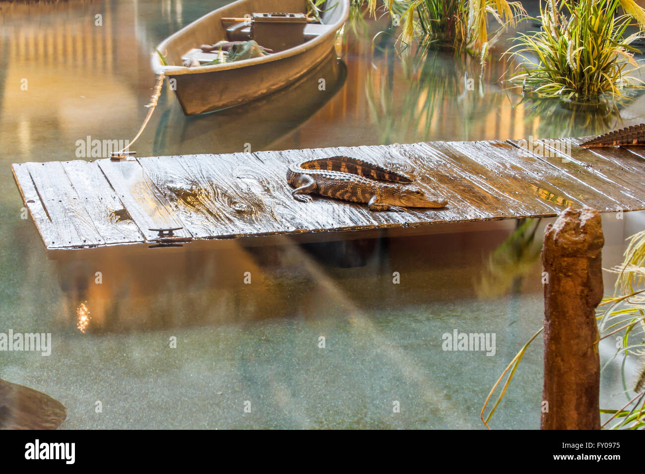 Louisiana bayou boat hi-res stock photography and images - Alamy