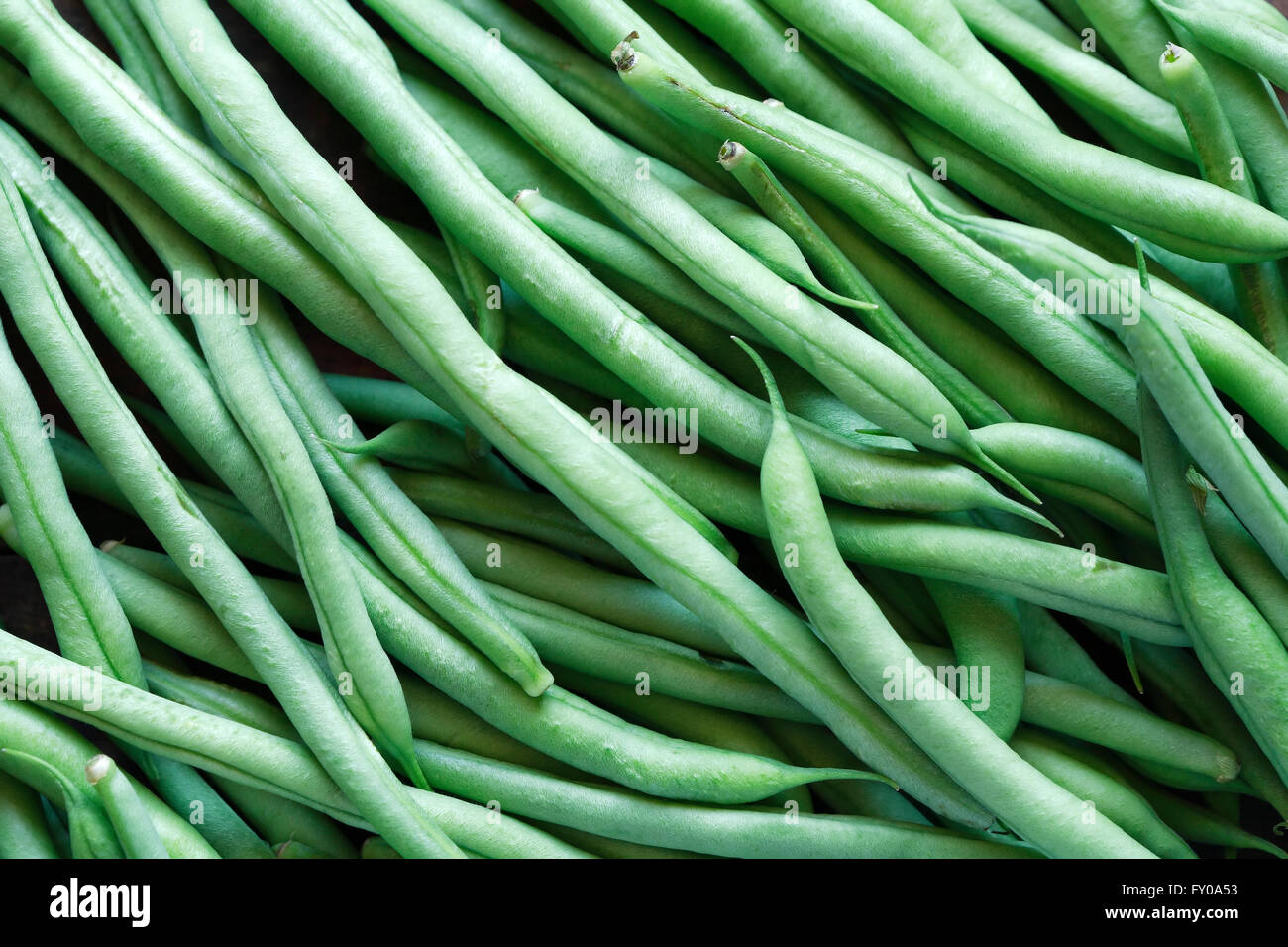 Background made from lot of freshness green beanstalks Stock Photo - Alamy