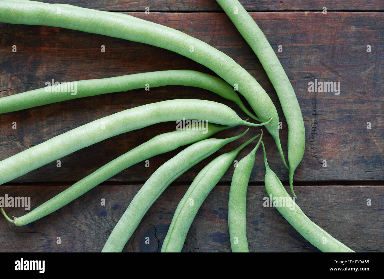 Beanstalk hi-res stock photography and images - Alamy