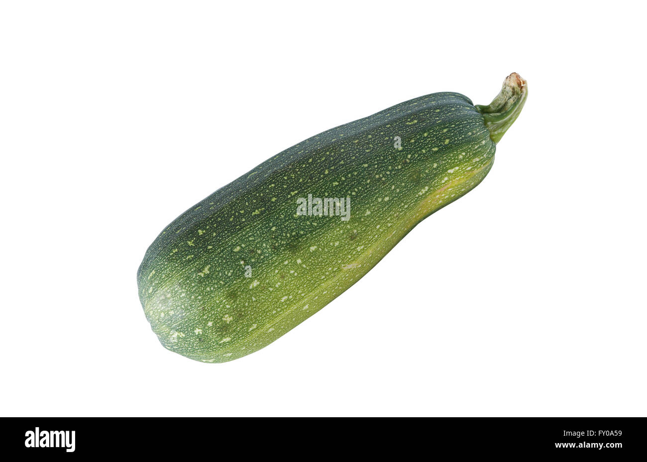 Largest green marrow on white background. Isolated with clipping path ...