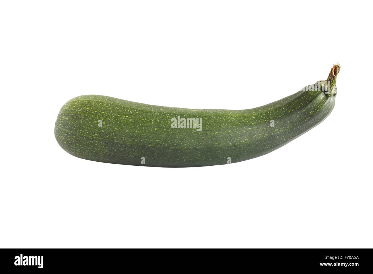 Largest green marrow on white background. Isolated with clipping path ...