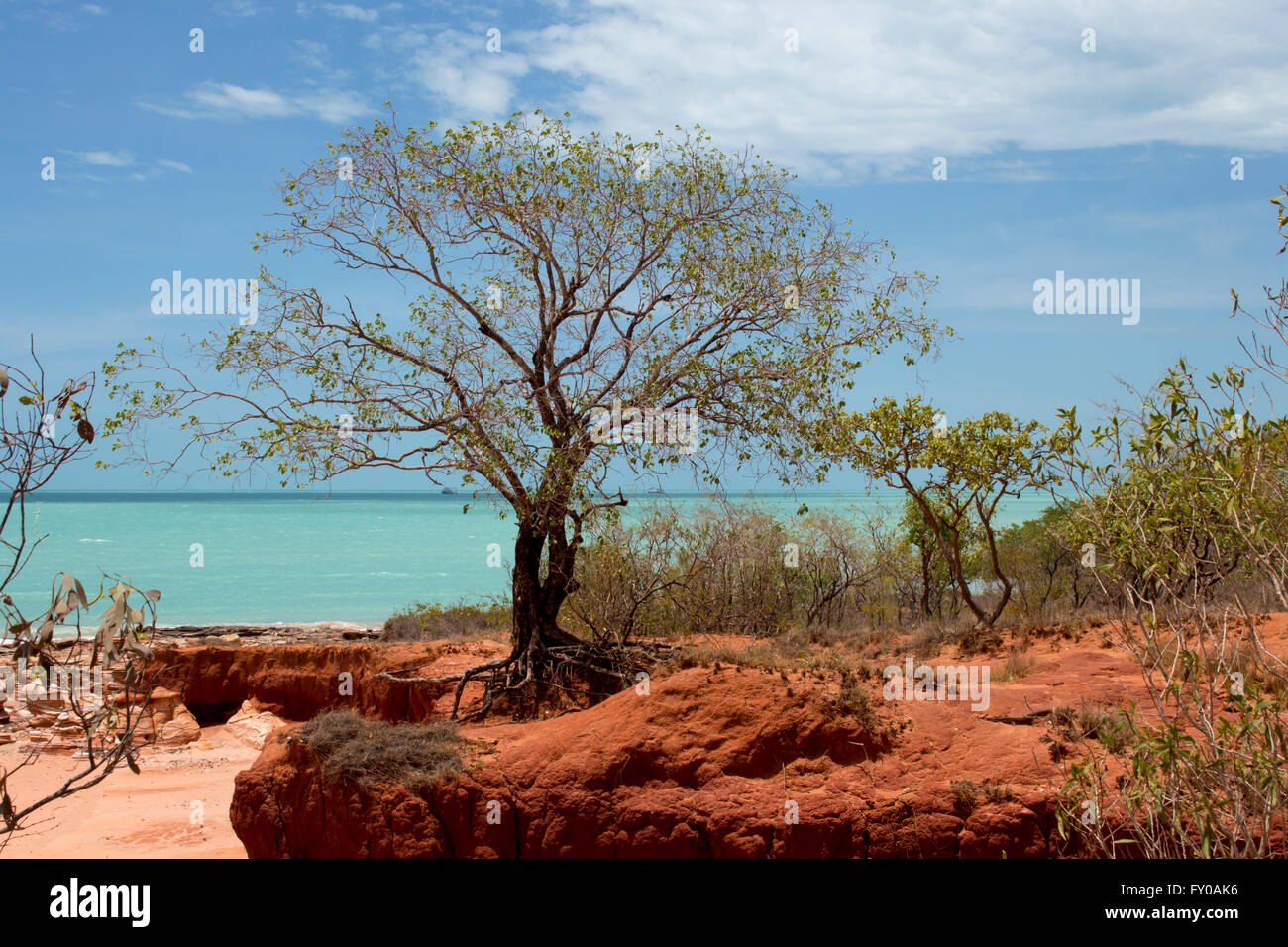 Roebuck Bay in Broome , North Western Australia , comprised of inter ...