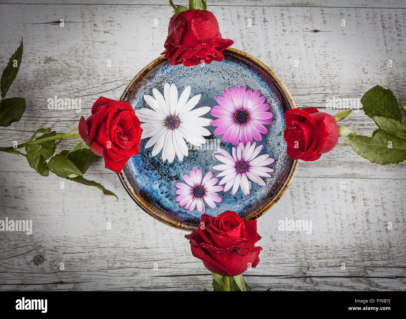 Shallow float hi-res stock photography and images - Alamy