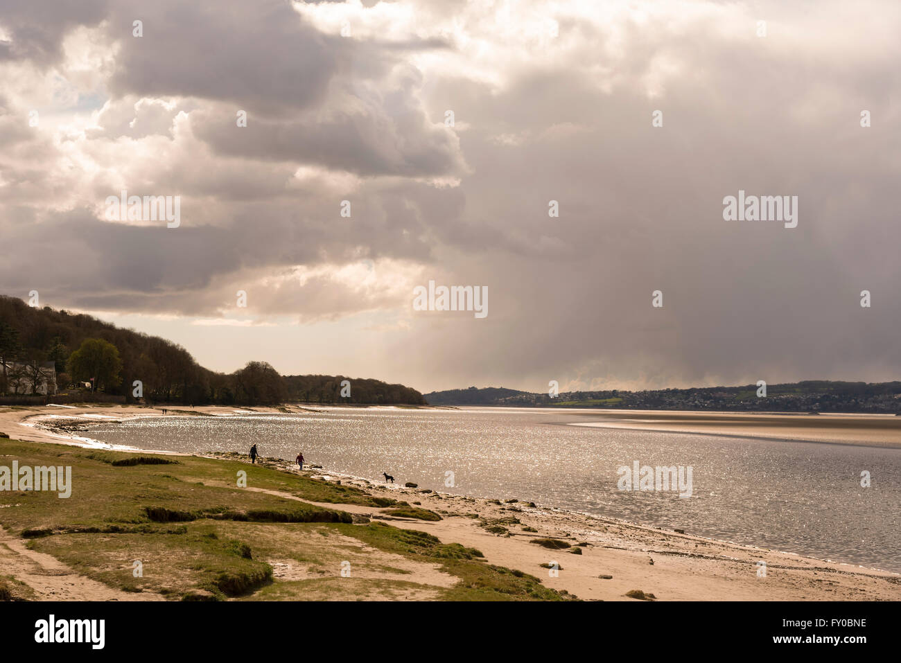 The river Kent estuary as it flows into Morecambe Bay at Arnside in ...
