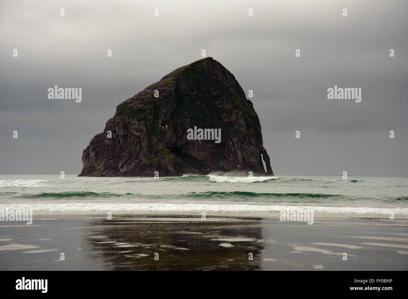 Haystack rock Canon Beach OR at high tide on rainy, windy day. Birds ...