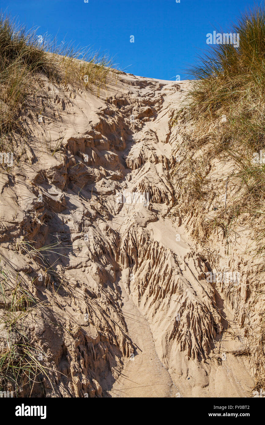 Conservation work underway on the sand dunes of Lytham St Annes. Dune ...