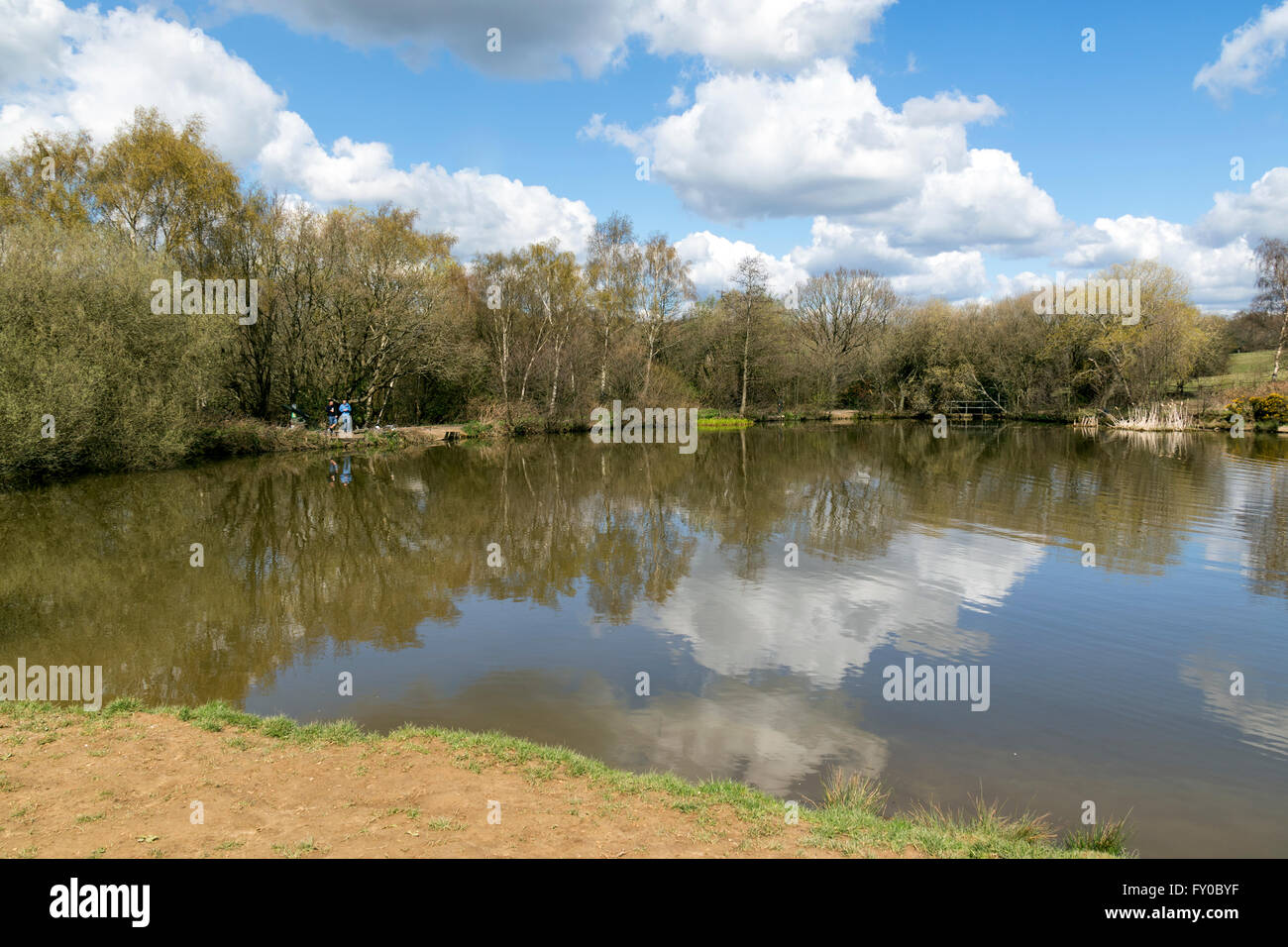 Reflections on pond on Ditchling Common in West Sussex Stock Photo - Alamy