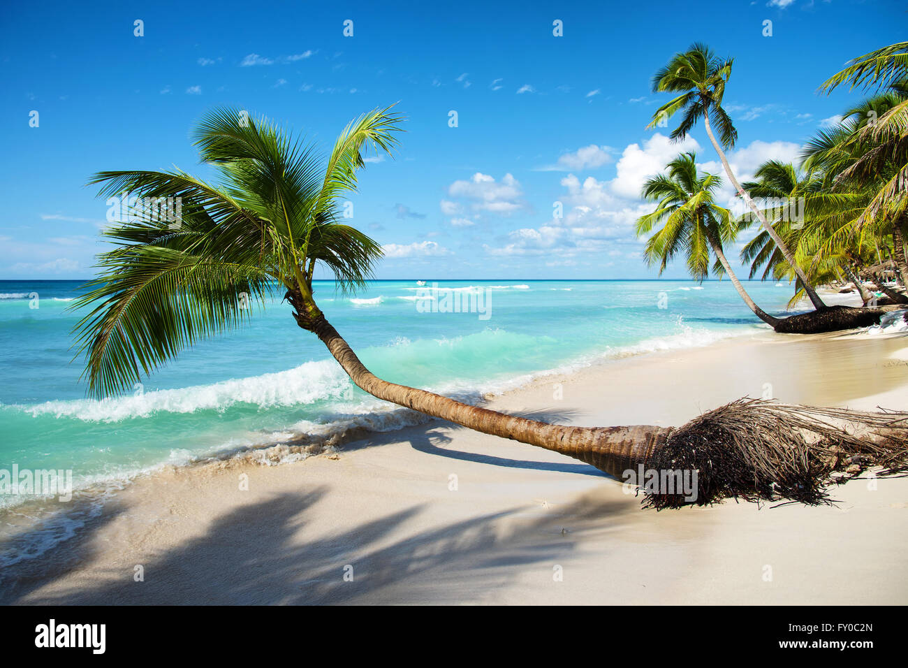 caribbean tropical sea Stock Photo - Alamy