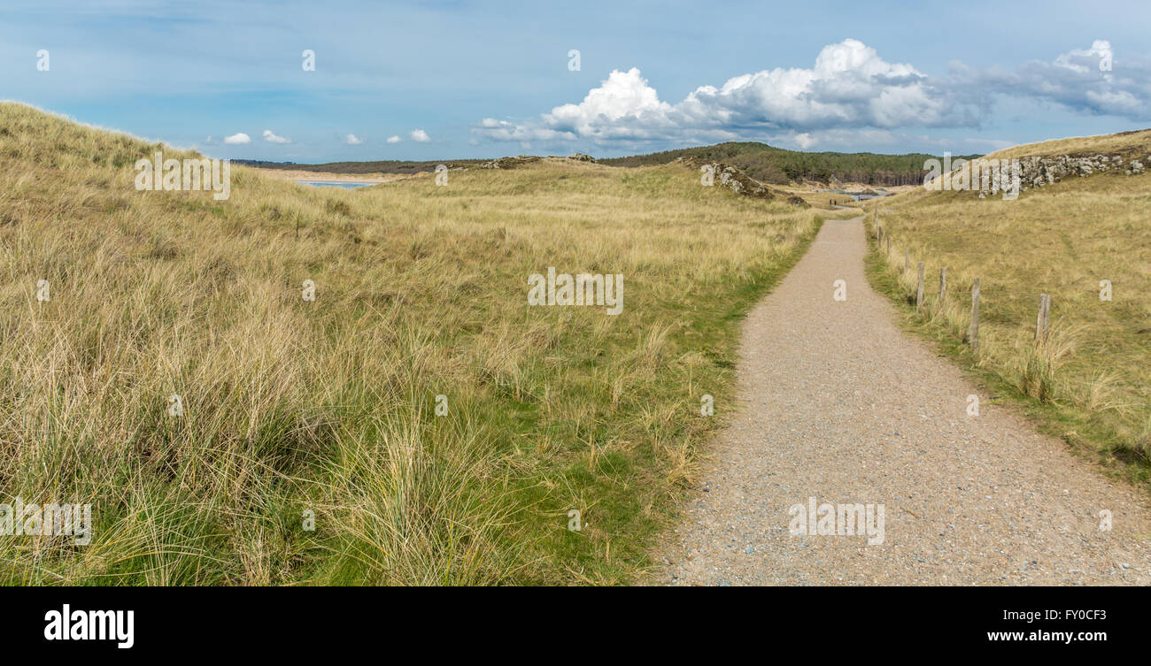 The path across Llanddwyn Island Stock Photo - Alamy