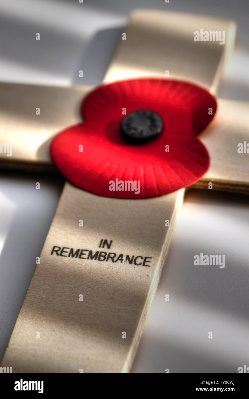 Poppy remembrance day appeal Stock Photo - Alamy
