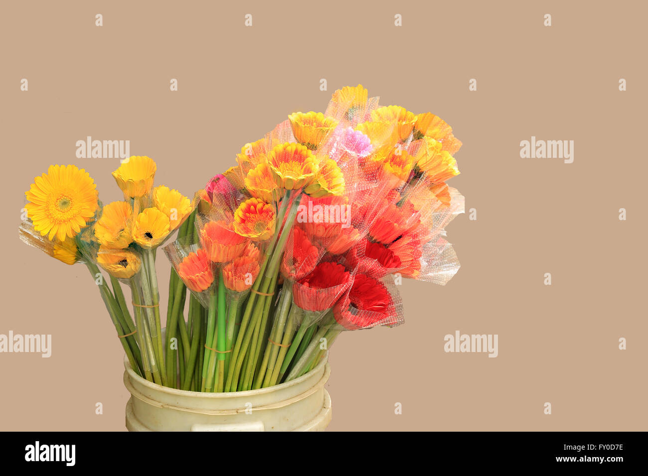 Pretty bucket hi-res stock photography and images - Alamy