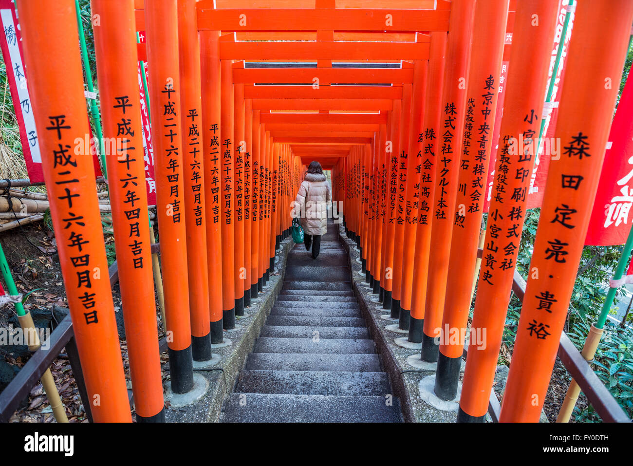 Torii path in Shinto Hie Shrine in Nagatacho district, Chiyoda special ...