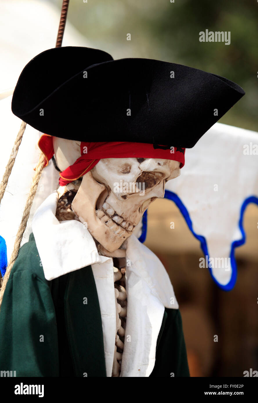 The skull and bones of a "dead pirate " with period hat and clothes ...