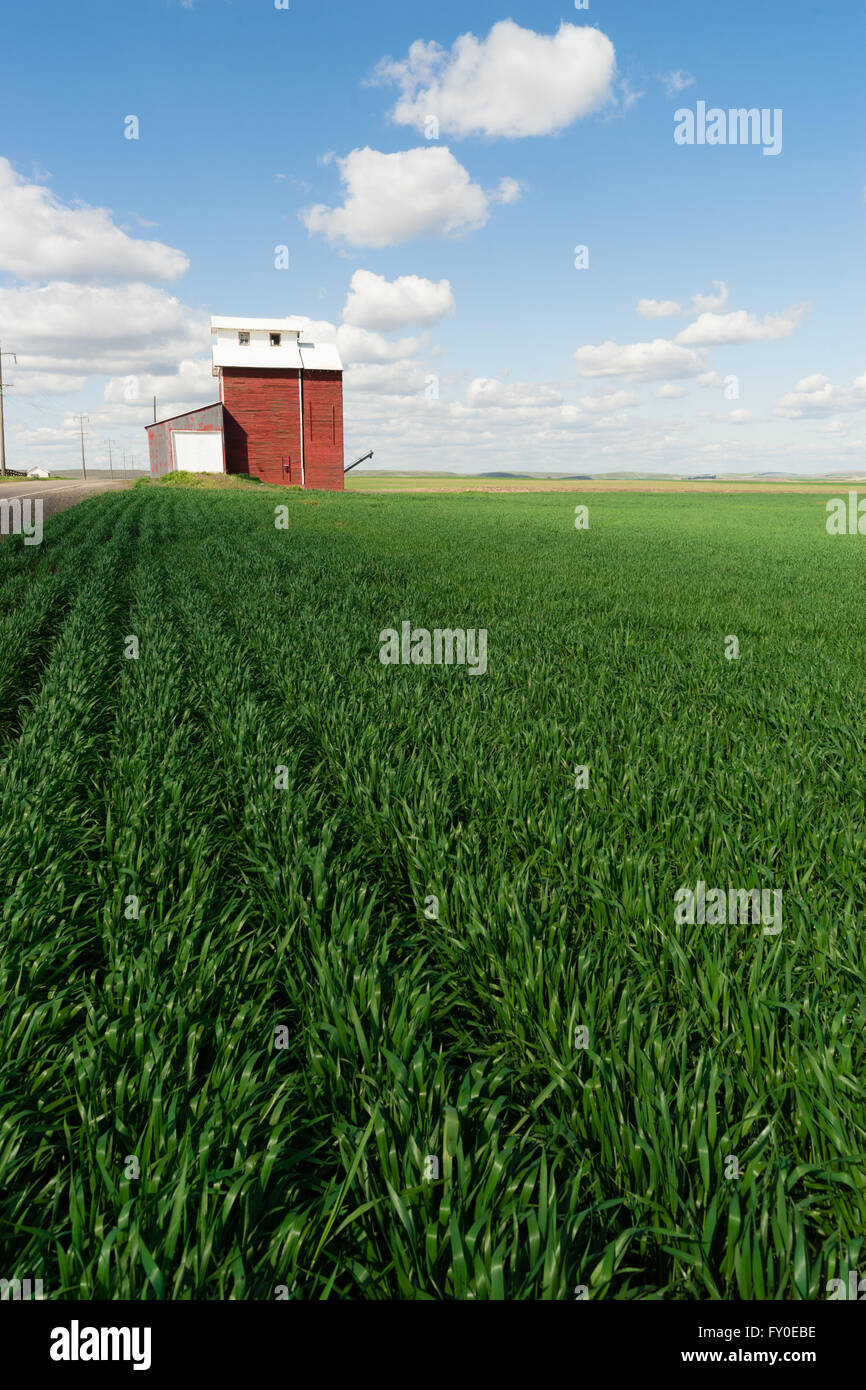 Grain planting grains hi-res stock photography and images - Alamy