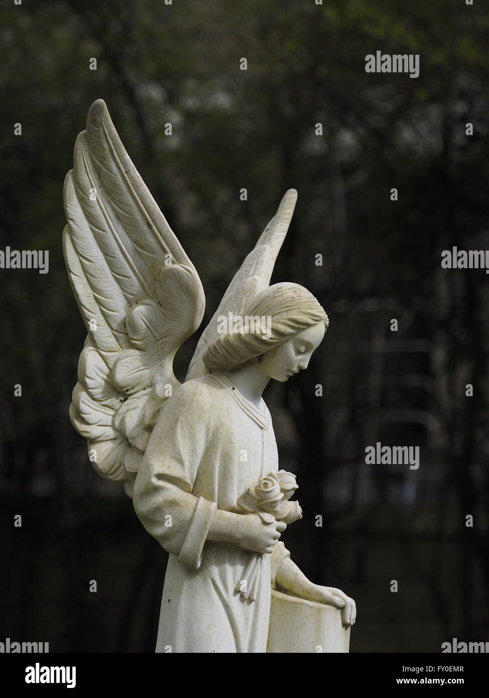 Angle of peace Stock Photo - Alamy