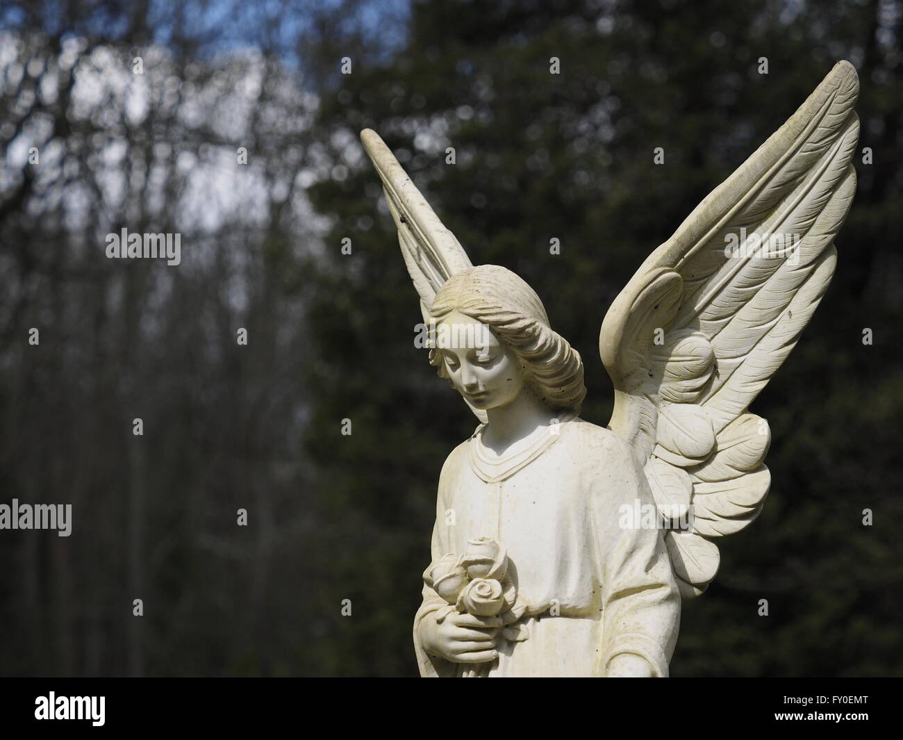 Fleeting existence hi-res stock photography and images - Alamy