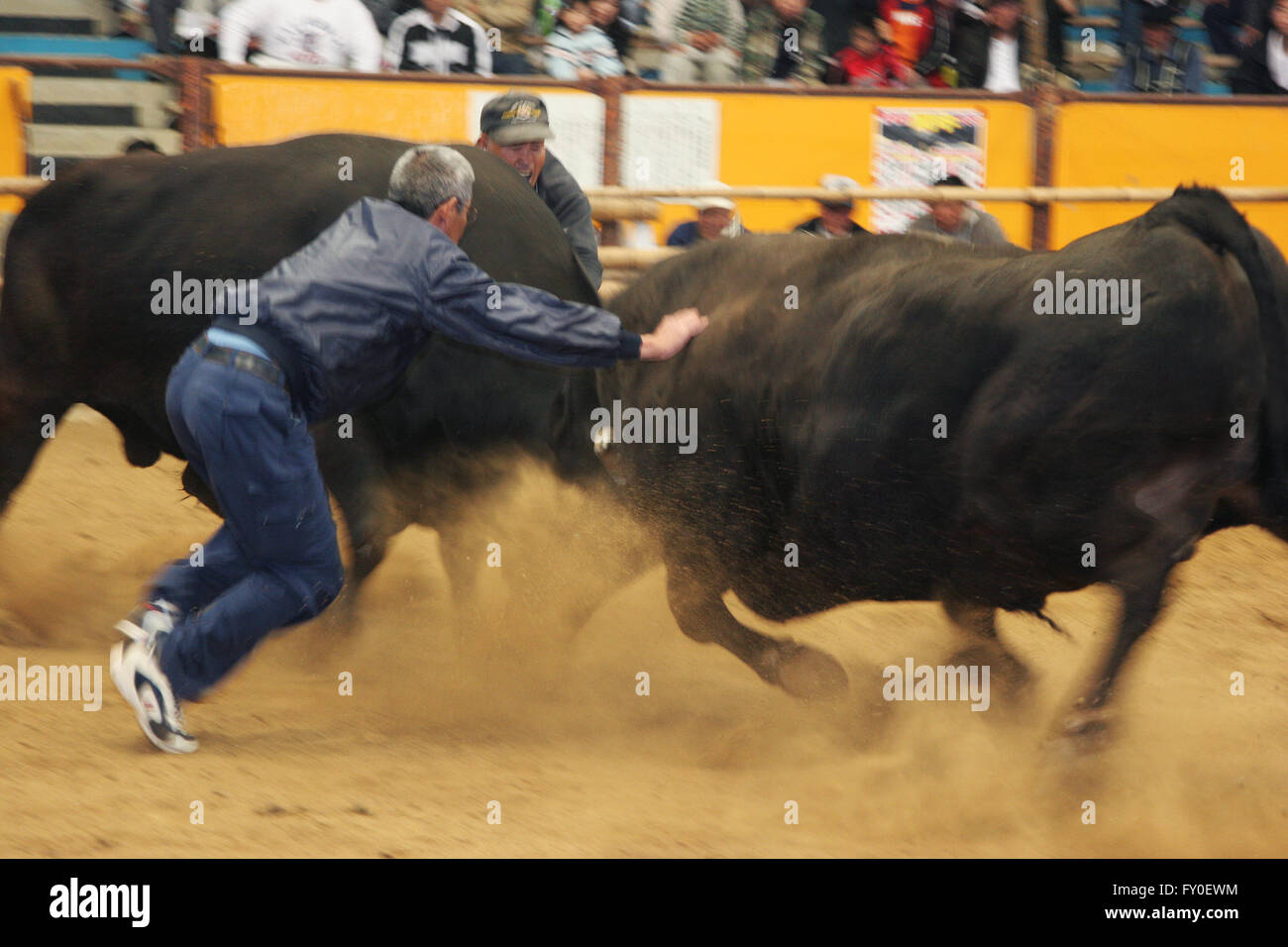Tougyu hi-res stock photography and images - Alamy