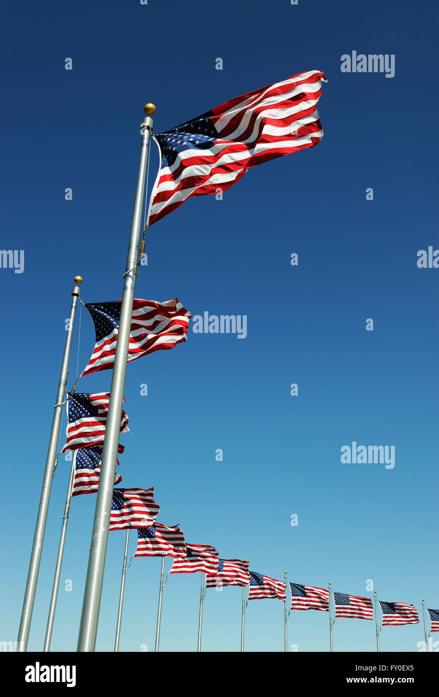 USA flags in a row Stock Photo - Alamy