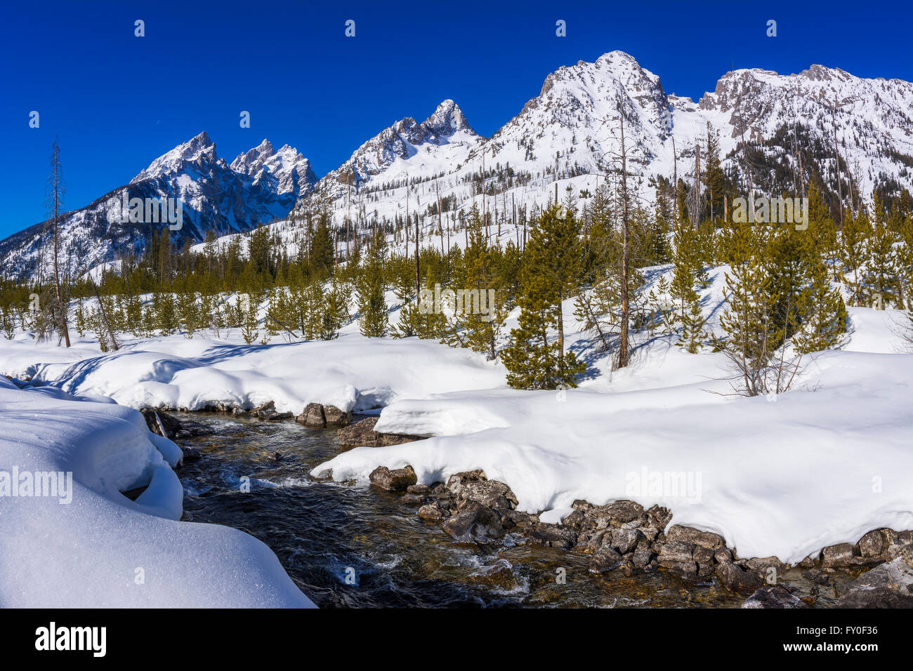 The Tetons in winter above Cottonwood Creek, Grand Teton National Park ...
