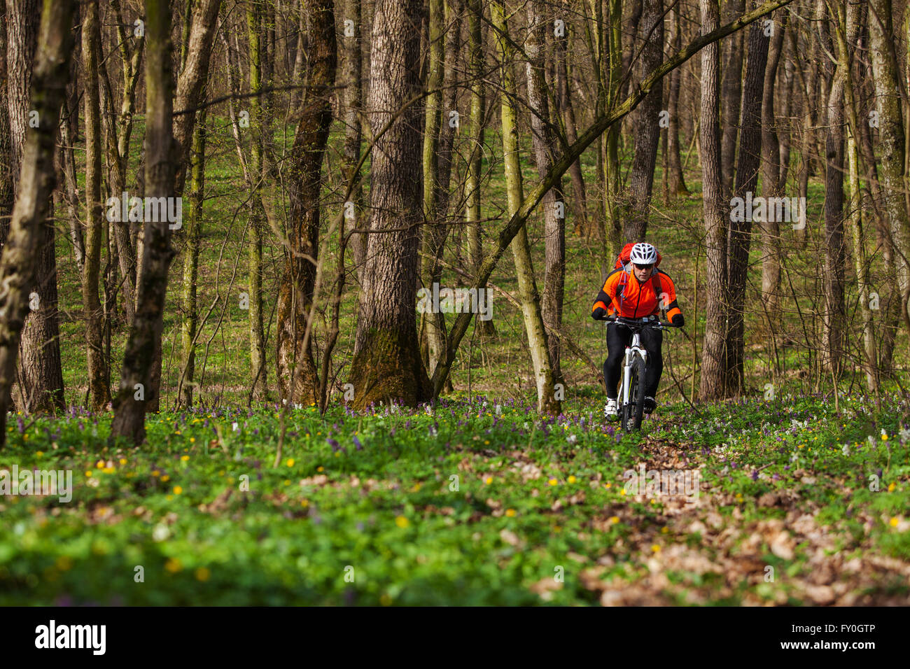 Man cyclist riding the bicycle Stock Photo - Alamy