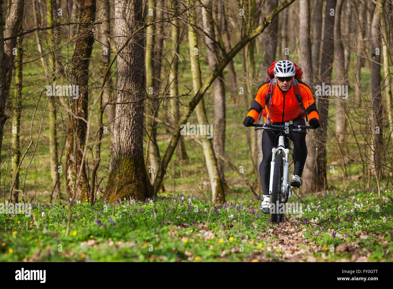 Man cyclist riding the bicycle Stock Photo - Alamy