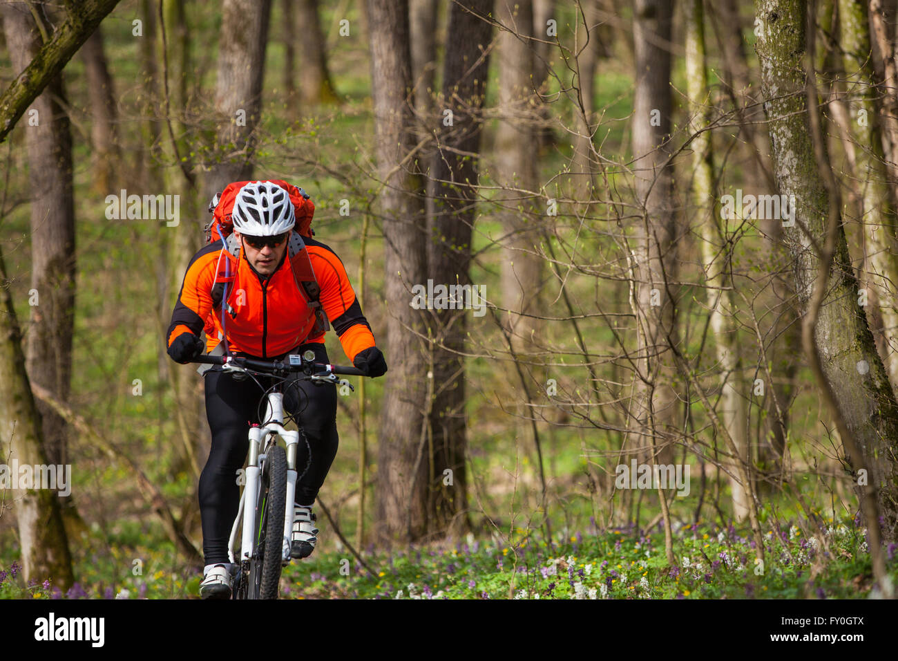 Man cyclist riding the bicycle Stock Photo - Alamy