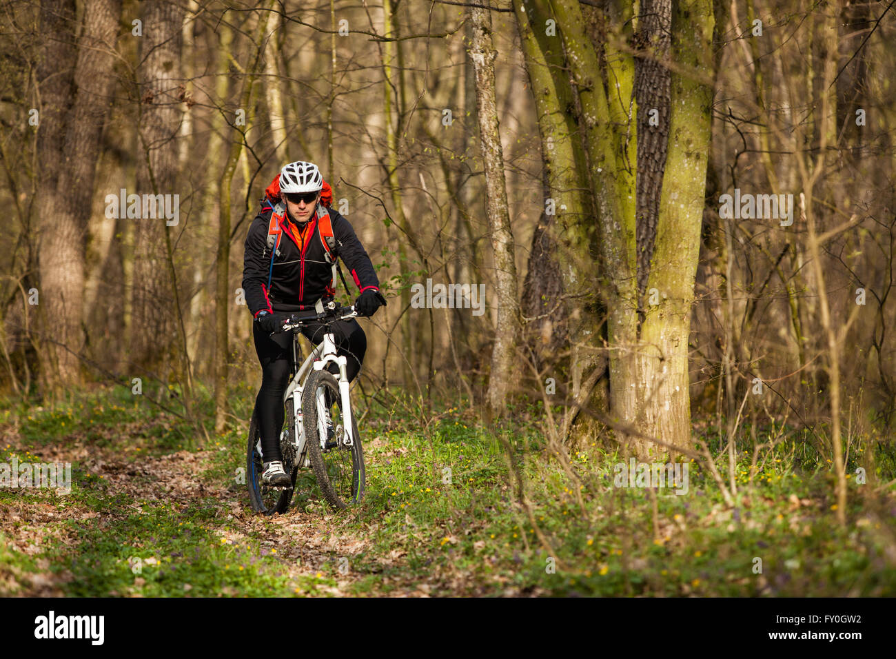Man cyclist riding the bicycle Stock Photo - Alamy