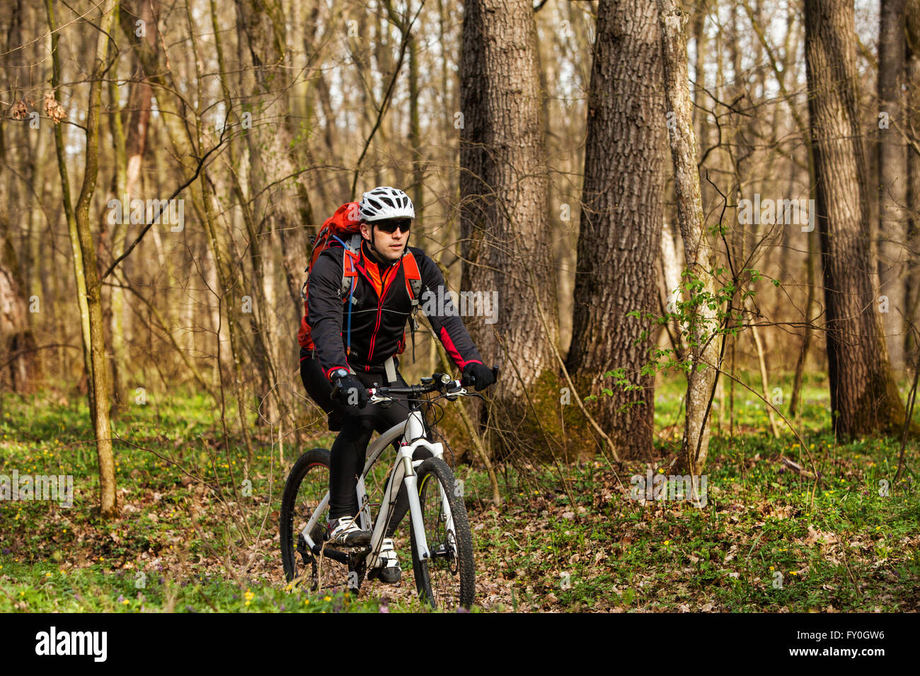 Man cyclist riding the bicycle Stock Photo - Alamy