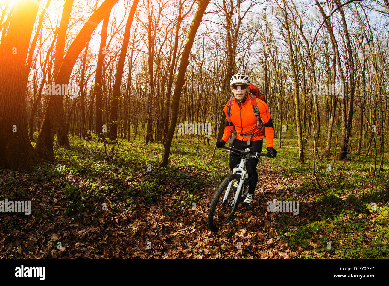 Man cyclist riding the bicycle Stock Photo - Alamy