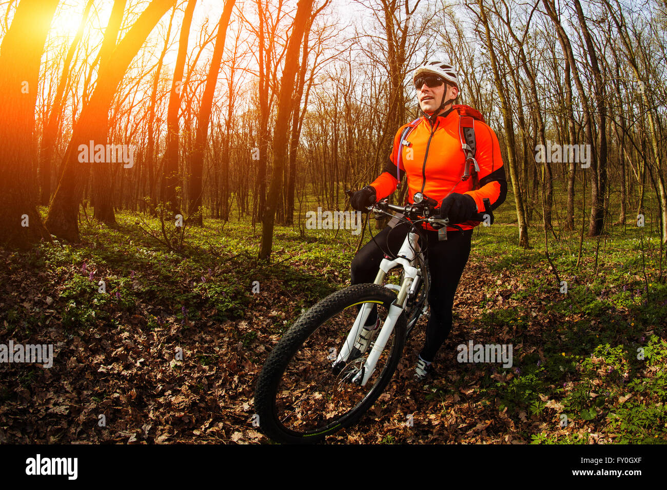 Man cyclist riding the bicycle Stock Photo - Alamy