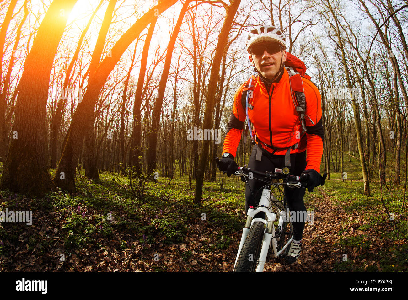 Man cyclist riding the bicycle Stock Photo - Alamy