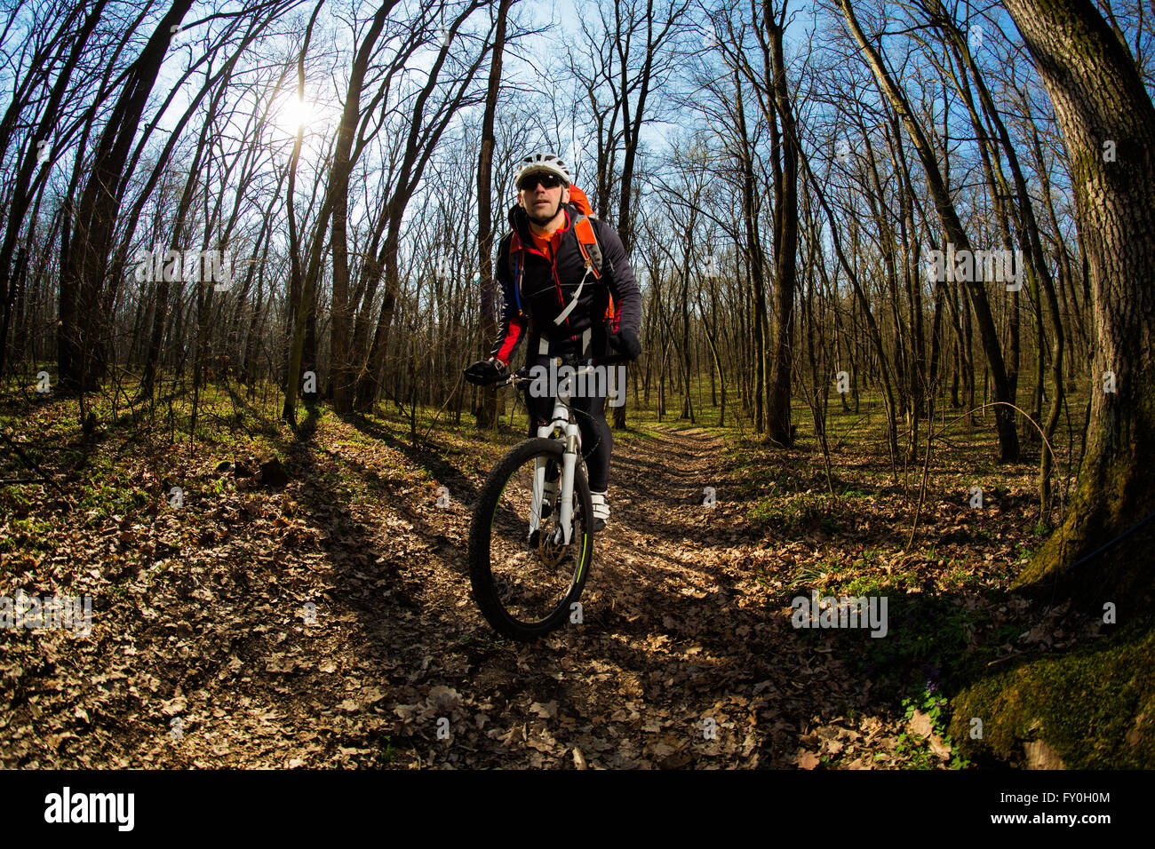 Man cyclist riding the bicycle Stock Photo - Alamy