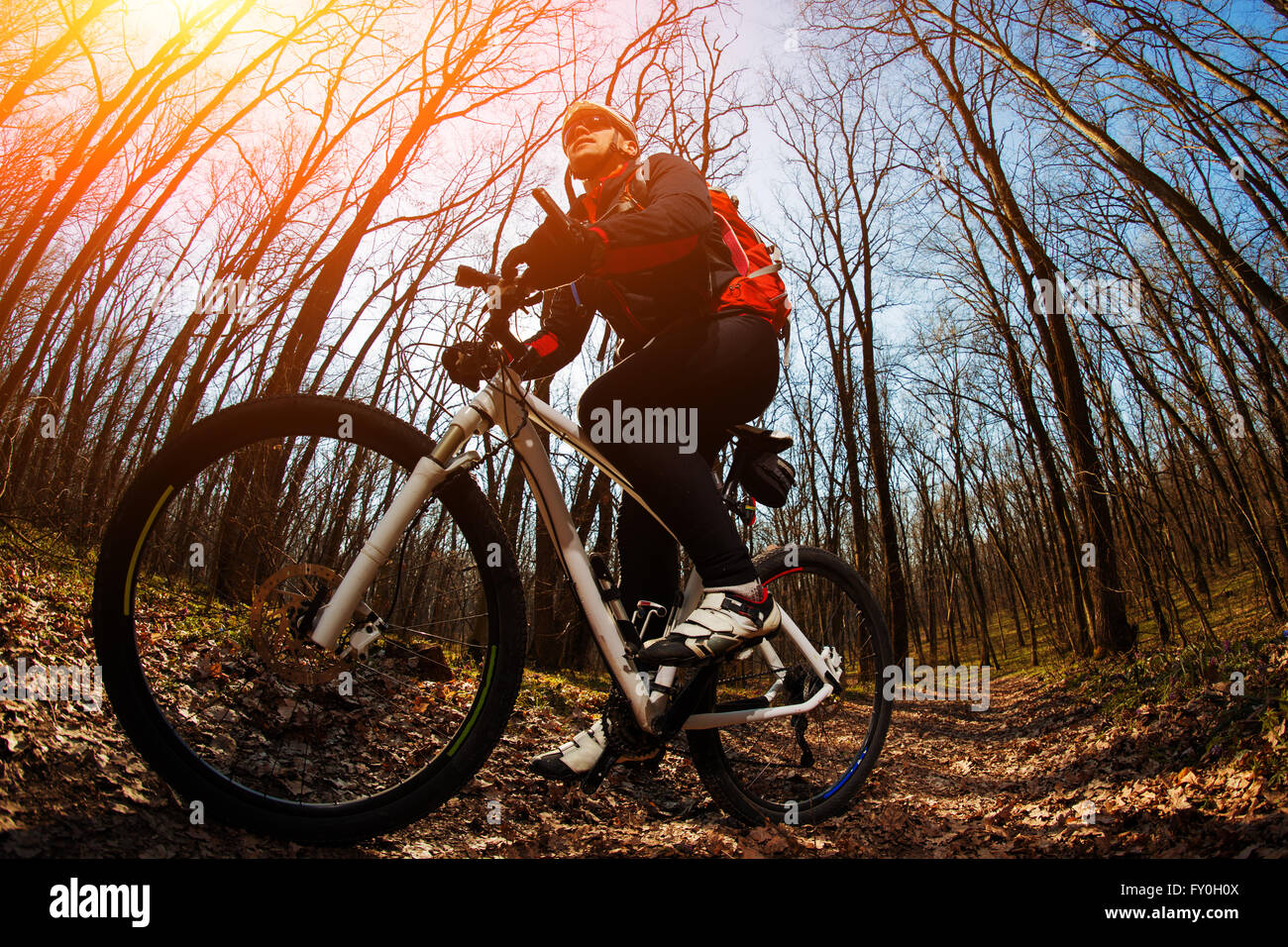 Man riding mountainbike forest track hi-res stock photography and ...