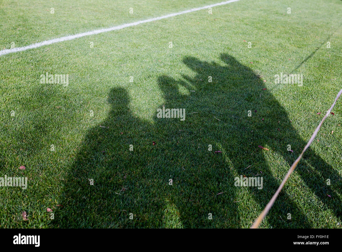 Shadow of a group of people on the grass while watching a football game ...