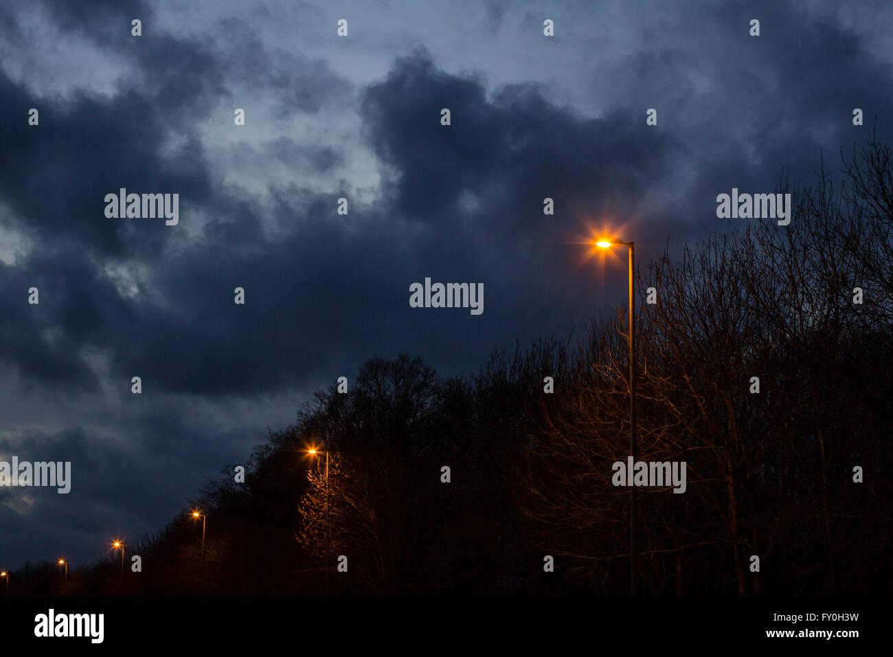 Lamp posts with glowing orange lights set against leafless trees and ...