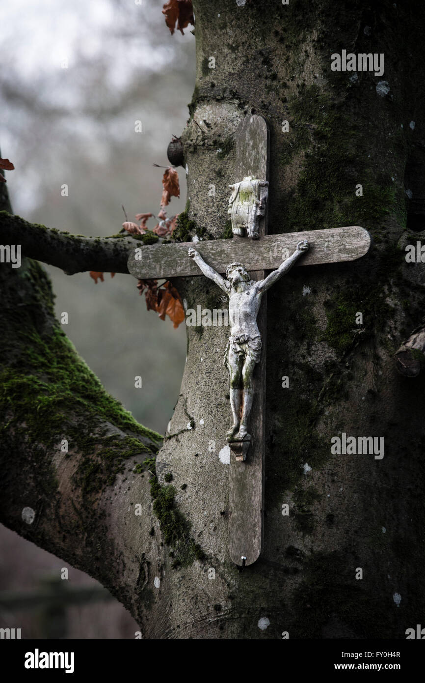 A large old tree with wetahered figurine of christ on the cross Stock ...