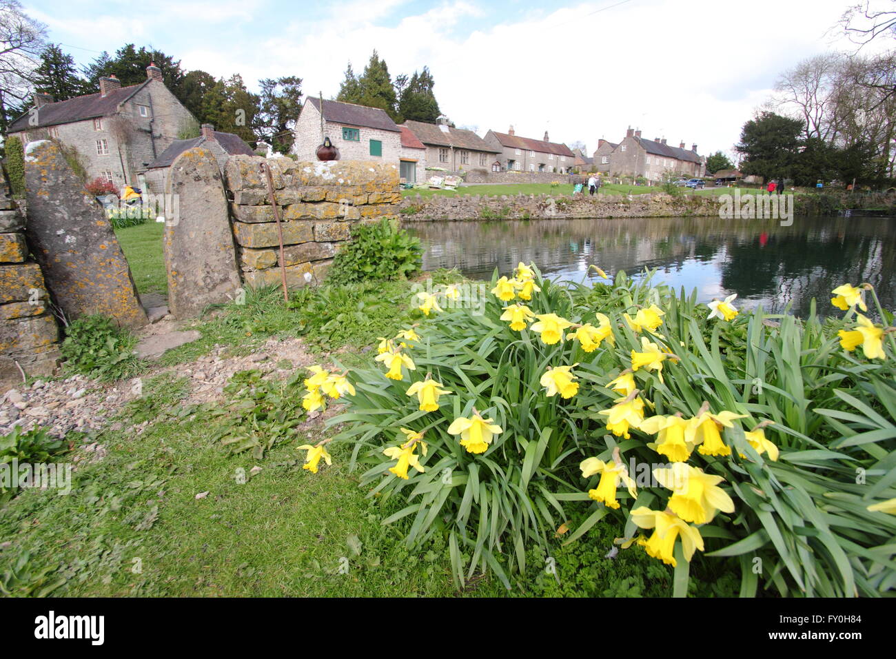 A squeeze stile in a dry stone wall by the village pond in Tissington ...