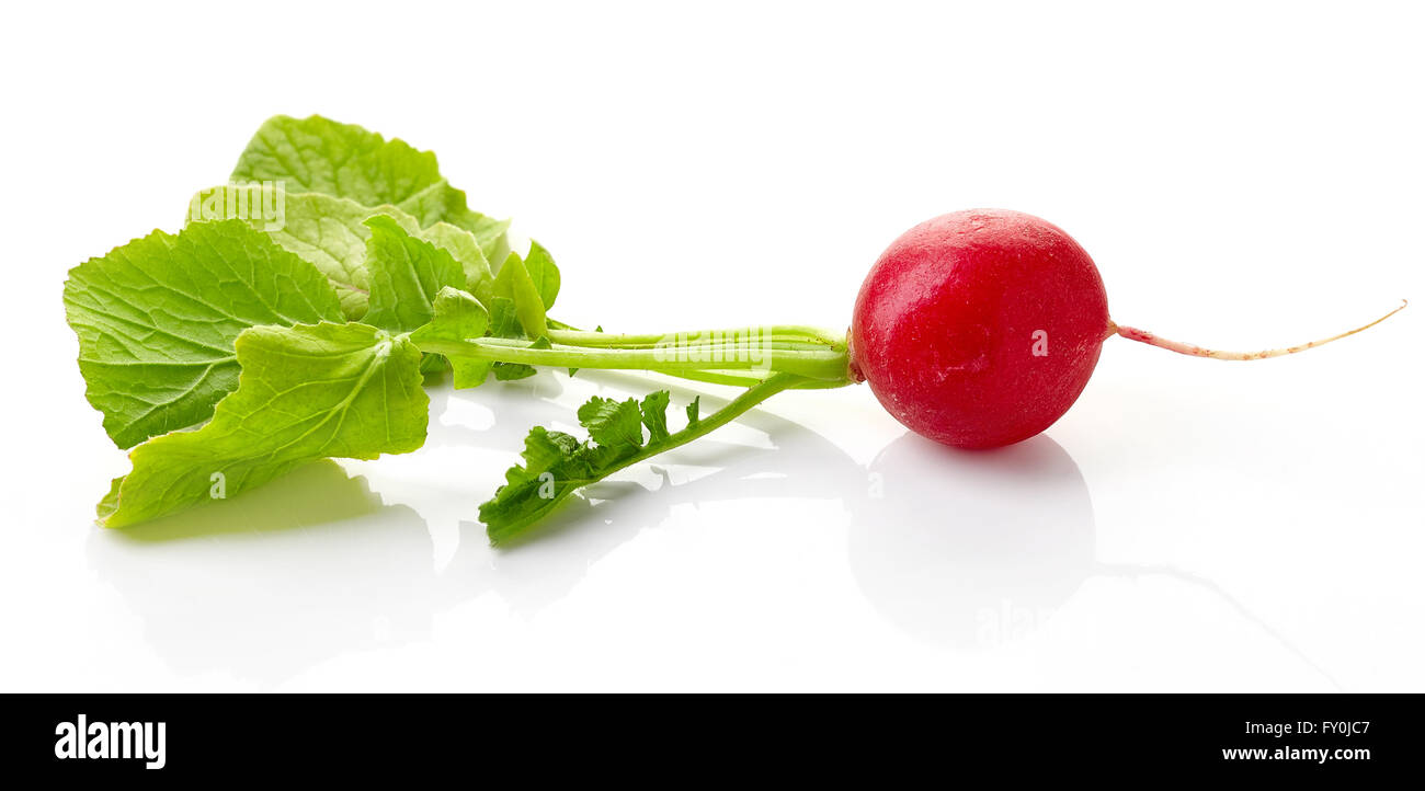 Fresh red radish isolated on white background Stock Photo - Alamy