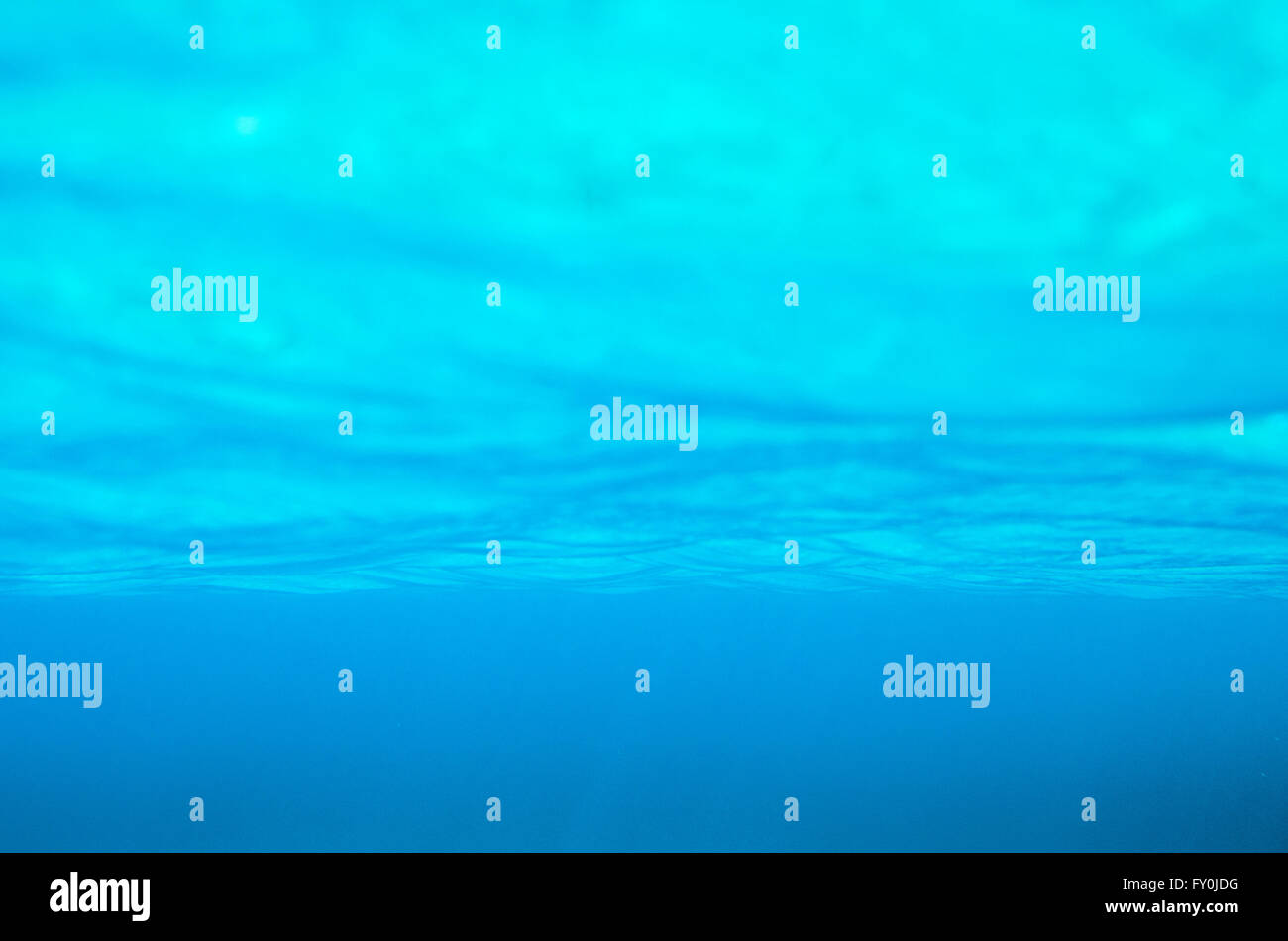 Blue ocean underwater hi-res stock photography and images - Alamy