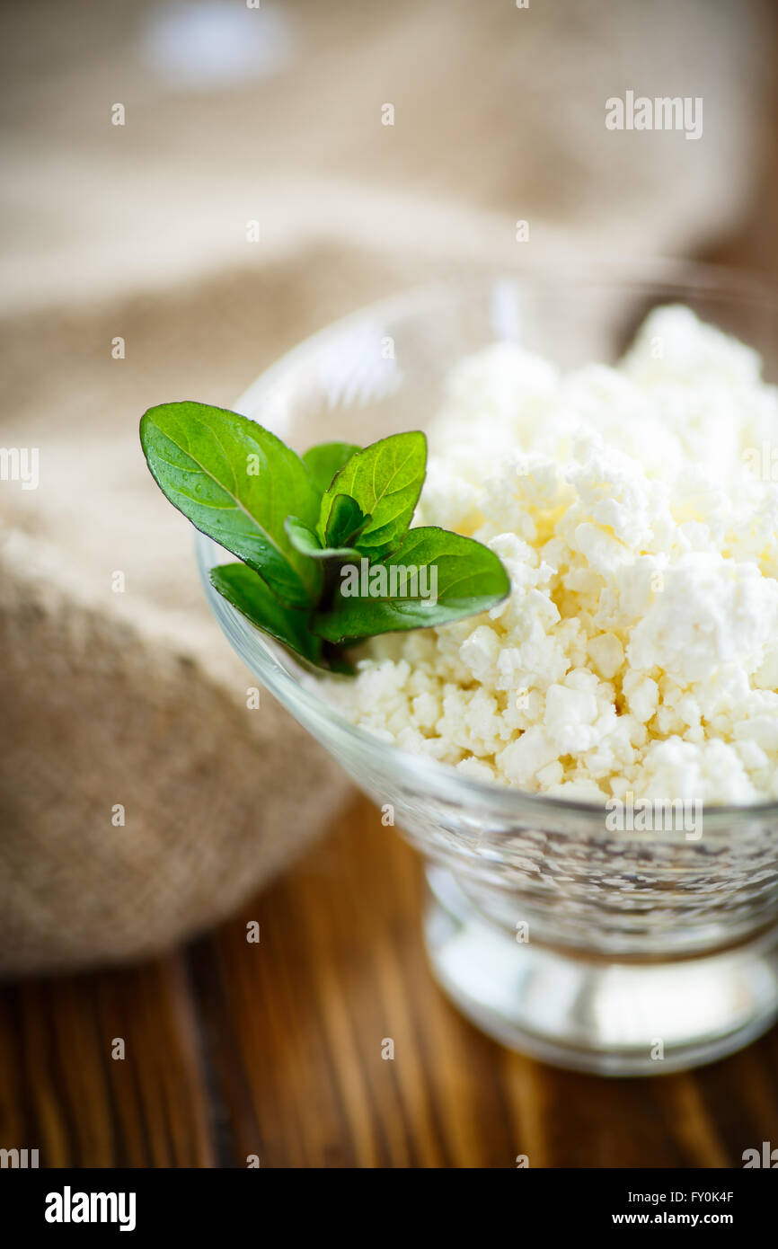 fresh milk cheese Stock Photo - Alamy