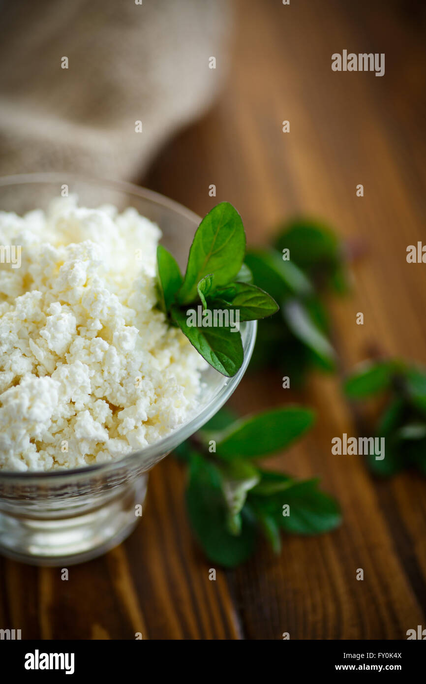 fresh milk cheese Stock Photo - Alamy