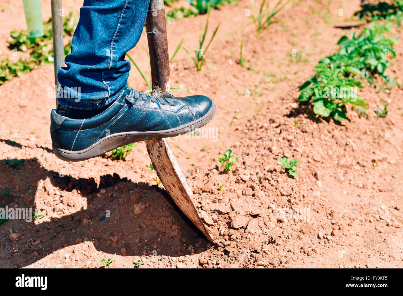 Farmer man hi-res stock photography and images - Alamy