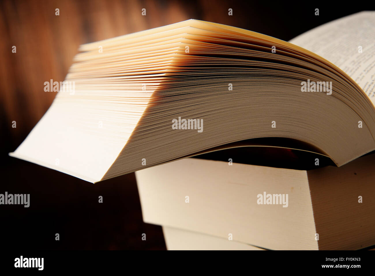 Composition with paperback books. Literature and education Stock Photo ...