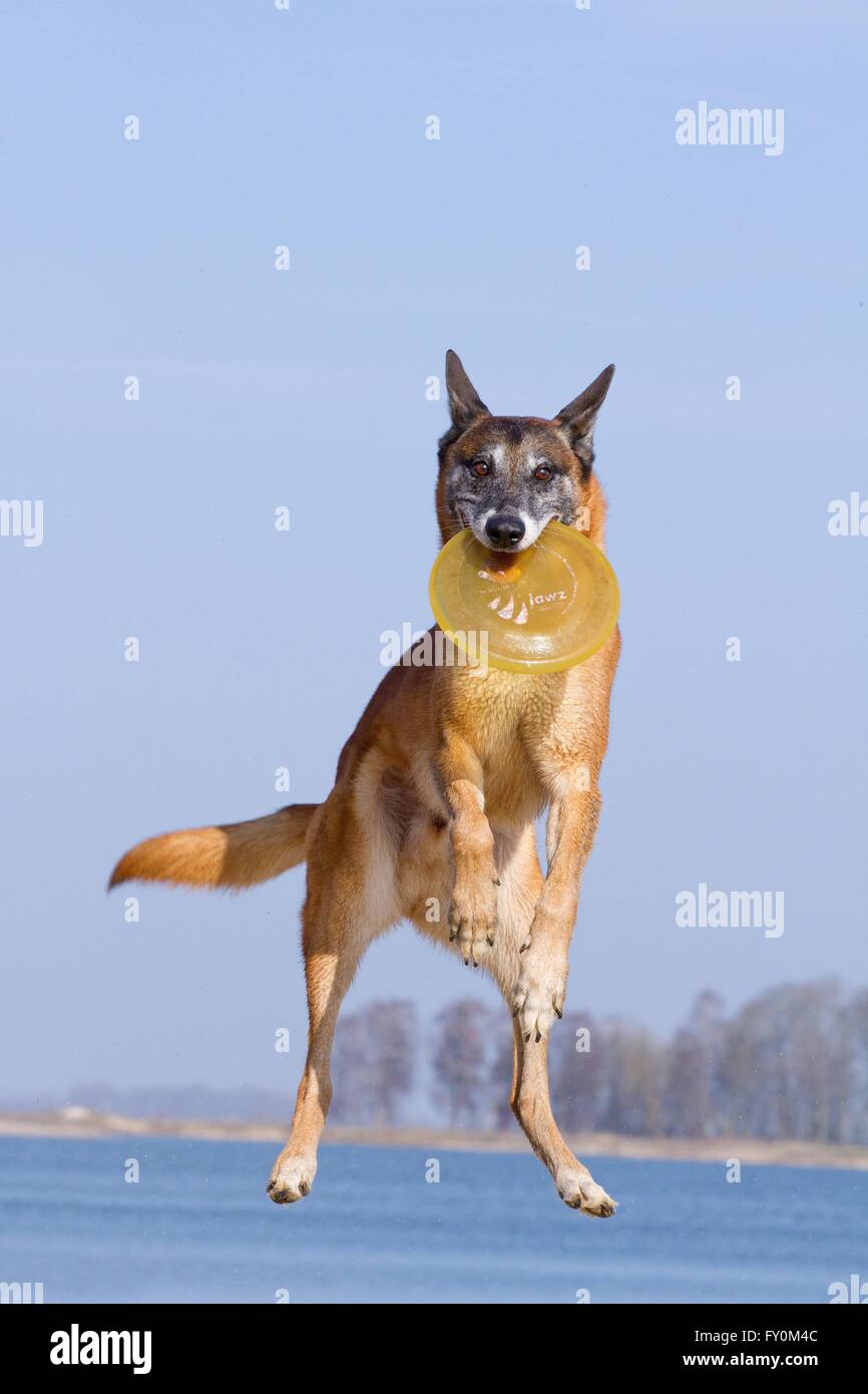 Old aged playing outdoor hi-res stock photography and images - Alamy