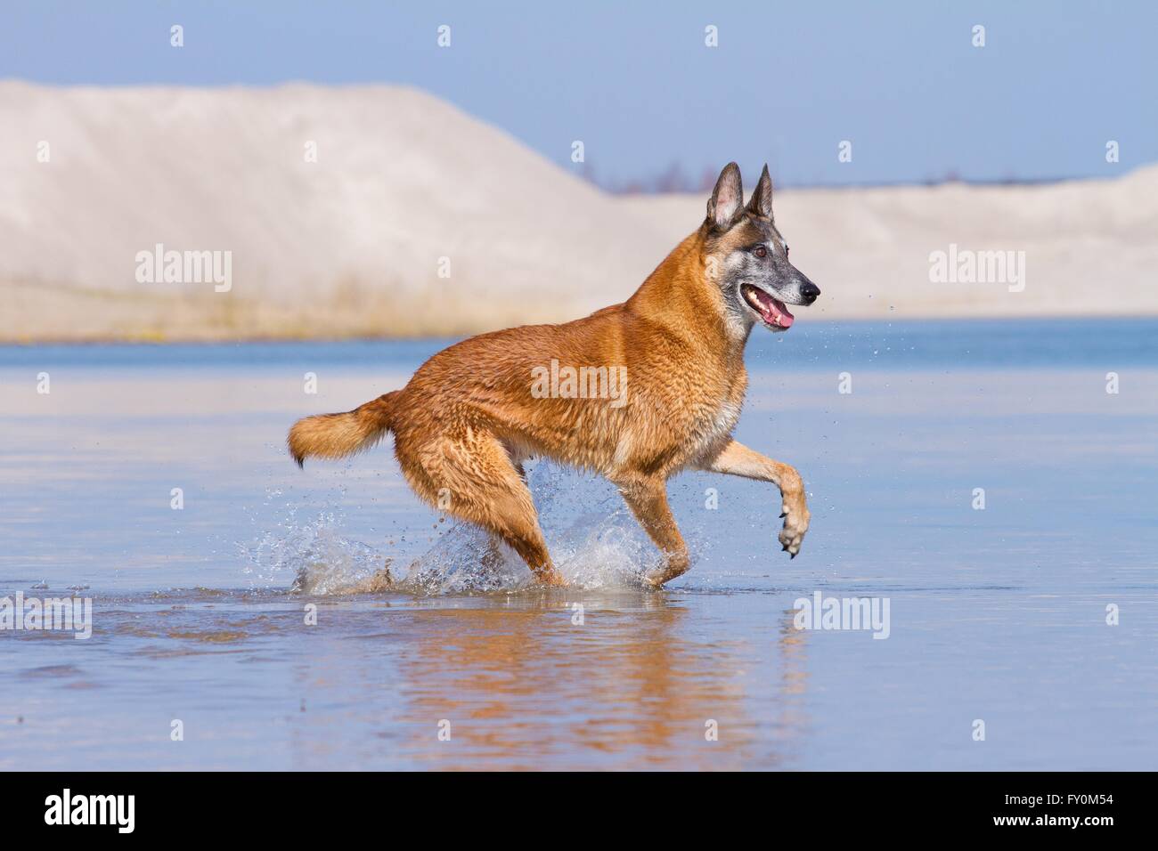 Senior running blue sky hi-res stock photography and images - Alamy