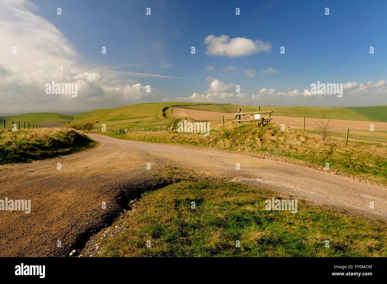 The Wansdyke ancient earthwork on the Wiltshire Downs, looking towards ...
