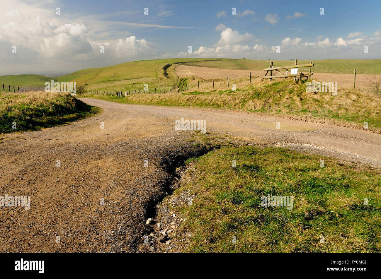 The Wansdyke ancient earthwork on the Wiltshire Downs, looking towards ...