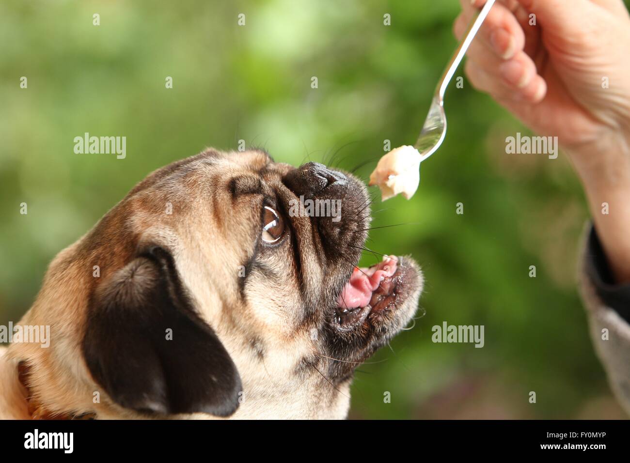 Wrong behaviour hi-res stock photography and images - Alamy