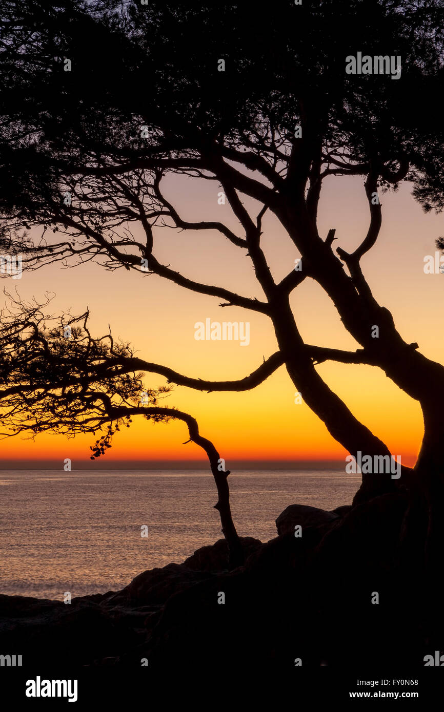 Beautiful sunset over the ocean Stock Photo - Alamy