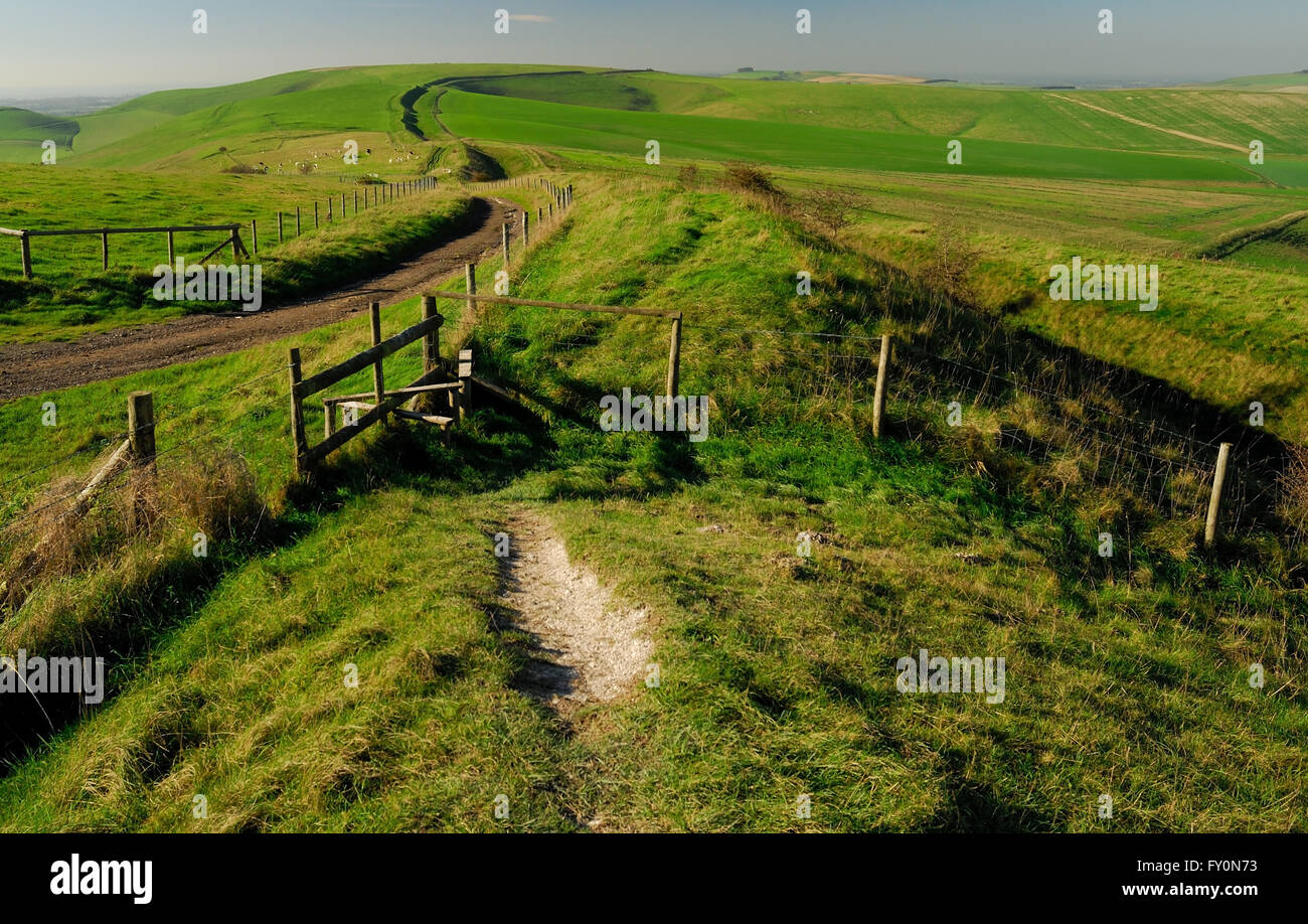 The Wansdyke ancient earthwork on the Wiltshire Downs, looking towards ...
